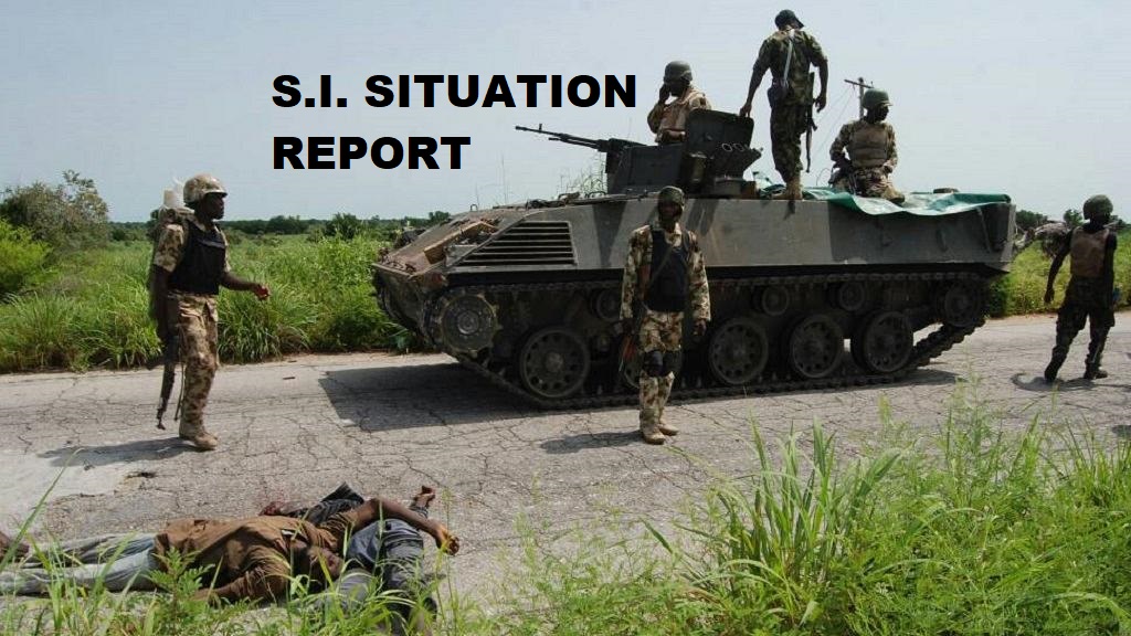 Nigerian Army Operation Records more Successes against Boko Haram ...